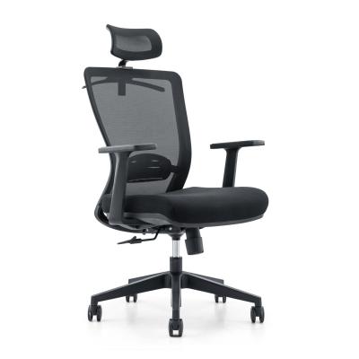 China 650*690*1150-1250mm Adjustable Luxury Office Chair with Mesh Fabric and Fixed Armrest for sale