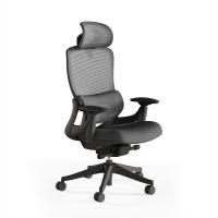 China Best Ergonomic Mesh Double Back Swivel Office Chair OEM with Free Sample Shipping for sale
