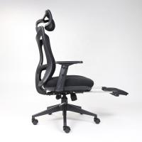 China Executive Mesh Office Chair Modern Design with Adjustable Armrest and Lumbar Support for sale