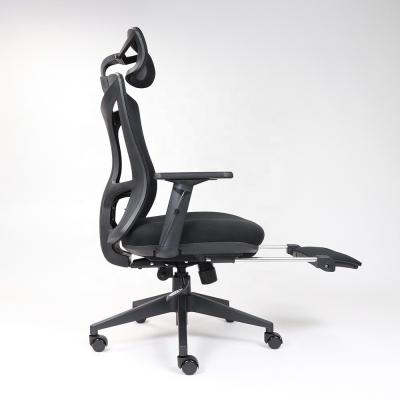 China Executive Mesh Office Chair Modern Design with Adjustable Armrest and Lumbar Support for sale