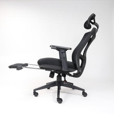 China Modern Ergonomic Swivel Office Chair With Adjustable Headrest And Mesh Lumbar Support for sale