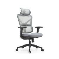 China Stainless Steel Adjustable Executive Office Chair with Mesh Fabric and Lumbar Support for sale