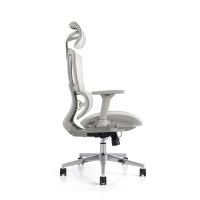 China All Function Mesh Chair High End Design for Office from Foshan for sale