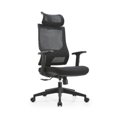 China Stainless Steel Executive Office Chair Ergonomic and Modern Design for B2B Buyer for sale