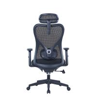 China Free Shipping 2D Adjustable Mesh Back Revolving Visit Chair Factory Direct Commercial Furniture Ergonomic Office Chair Modern for sale