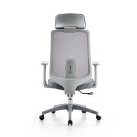 China Modern Office Chair Ergonomic Mesh Armrest Adjustable Swivel Executive Ergonomic Mesh Office Chair Lumbar Support Free Shipping for sale