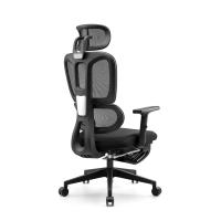 China Luxury High Back Swivel Computer Office Chair Ergonomic Mesh Recling Executive Office Lifting Chair 2D Armrest Foldable Footrest for sale
