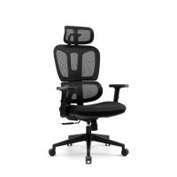 China Modern Cheap High End Computer Swivel Chair Adjustable Arm Mesh Back Chair Executive Ergonomic Office Chair With Lumbar Support for sale