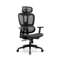 China Modern Cheap High Back Computer Swivel Chair Adjustable Arm Full Mesh Chair Executive Ergonomic Office Chair With Lumbar Support for sale