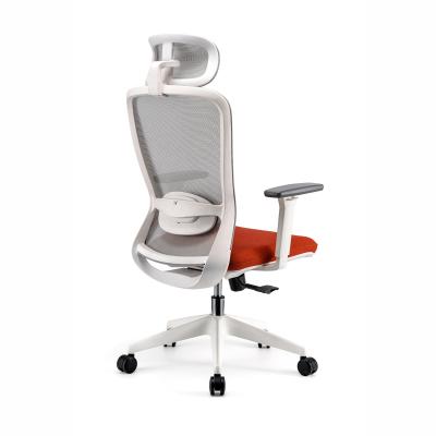 China Mesh Ergonomic Office Chair 2D Armrest Fabric Recliner With Adjustable Headrest and Swivel Feature Cheapest Modern Office Chair for sale