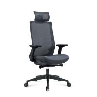 China Office Executive Chair China Manufactured Best Quality Ergonomic Mesh Computer Reclining Chair Swivel Feature 4D Arm Comfortable for sale