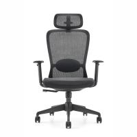 China Modern Office Furniture Comfortable 2D Armrest Adjustable Swivel Mesh Executive Ergonomic Office Chair With Lumbar Support for sale