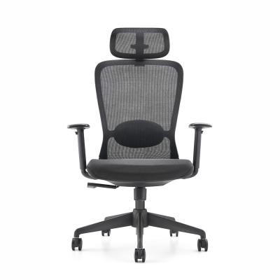 China Modern Office Furniture Comfortable 2D Armrest Adjustable Swivel Mesh Executive Ergonomic Office Chair With Lumbar Support for sale