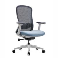 China Factory Wholesale High Back Office Ergonomic Mesh Chair Work Staff Computer Office Chair Free Shipping BIFMA Standard Executive for sale