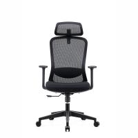 China Factory Wholesale High Back Office Ergonomic Mesh Chair Work Staff Computer Office Chair Free Shipping BIFMA Standard Executive for sale