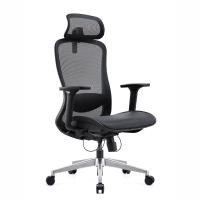 China Office Chair Free Shipping Full Mesh Back & Seat Cushion Office Ergonomic Executive Mesh Chair Computer Comfort Lifting Chair for sale