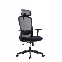 China Factory Wholesale High Back Office Ergonomic Mesh Chair Work Staff Computer Office Chair Free Shipping BIFMA Standard Executive for sale