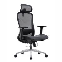 China Office Chair Free Shipping Ergonomic Full Mesh Back & Seat Cushion Office Executive Manager Computer Comfortable Sleeping Chair for sale