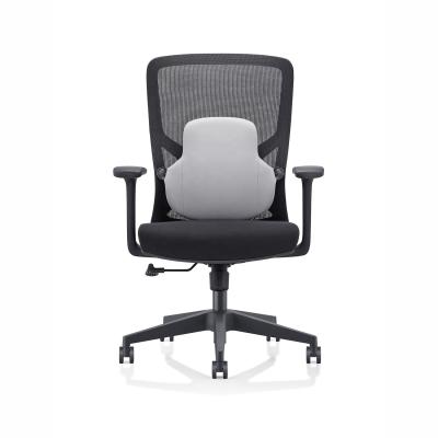 China Ergonomic Mid Back Office Chair Black With Lumbar Support Luxury Fashionable for sale
