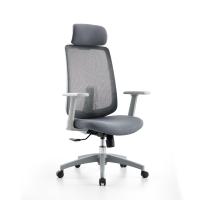 China Modern Office Furniture Lumbar Armrest Adjustable Swivel Mesh Executive Ergonomic Office Chair With Lumbar Support Free Shipping for sale