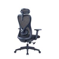 China Factory Direct Commercial Furniture 2D Adjustable Mesh Chair Ergonomic Office Chair Aluminum Modern Gas Lift 5 Year Free Sample for sale