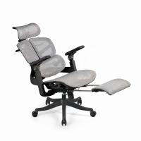 China Luxury Full Mesh Office Ergonomic Task Swivel Chair Space-saving Lumbar Support Modern Office Lunch Break Chair with 6D Armrest for sale