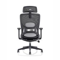 China Ergonomic Mesh Office Swivel Chair Executive Computer Swivel Chair High Back Mesh Chair High Back Luxury Comfort Modern High End for sale