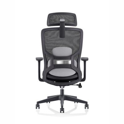 China Ergonomic Mesh Office Swivel Chair Executive Computer Swivel Chair High Back Mesh Chair High Back Luxury Comfort Modern High End for sale