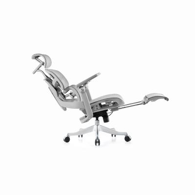 China Modern Luxury Sillas De Oficina Headrest Executive Swivel Ergonomic Office Chairs High Back Full Mesh Grey Desk Computer Chair6D for sale