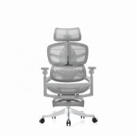 China Luxury High Back up & Down Adjustable Ergonomic Computer Chair Full Mesh Recliner Executive Manager Office Chair With 6D Armrest for sale