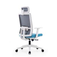 China FOSHAN Manufacturer Height Adjustable Manager Computer Executive White Mesh Ergonomic Office Chair Cadeira De Escritorio Gerente for sale