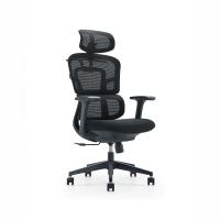 China High Quality Ergonomic Boss Comfortable High Back Executive Luxury Mesh Office Chair Lumbar Support Wholesale Gerente Cadeira for sale