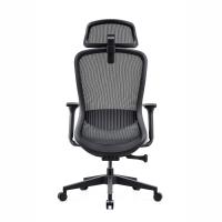 China Stain Resistant Mesh Back Executive Chair Stainless Steel With Multi Angle Support for sale