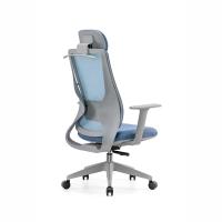 China Nylon Base Ergonomic Office Executive Chair Swivel Mesh Office Chair For Staff Manager for sale