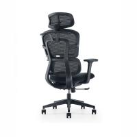China OEM Mesh Back Executive Chair High Back Soft Wear Resistant With High End Texture for sale