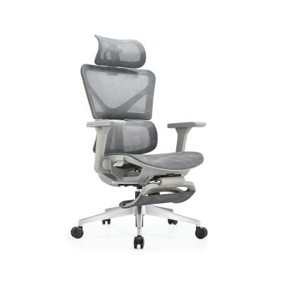 China Low Noise Full Mesh Ergonomic Chair Office With Footrest Multi Dimensional for sale