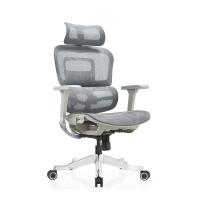 China Modern Ergonomic Office Executive Chair Featuring Adjustable Lumbar Support and Plastic Frame for Optimal Office Comfort for sale