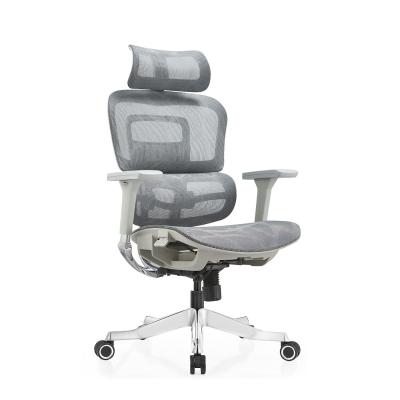 China Modern Ergonomic Office Executive Chair Featuring Adjustable Lumbar Support and Plastic Frame for Optimal Office Comfort for sale