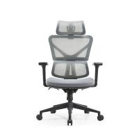 China Factory Wholesale Office Ergonomic Chairs Mesh Back Executive Manager Chair 3D Armrest Adjustable for sale