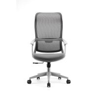 China Adjustable Height Computer Desk Chair with Ergonomic Design Swivel Base and Durable PP Materials for Office Comfort for sale