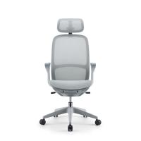China Ergonomic Office Executive Chair with Breathable Mesh Back Adjustable Lumbar Support and Padded Seat Designed for Long Hours of Work for sale