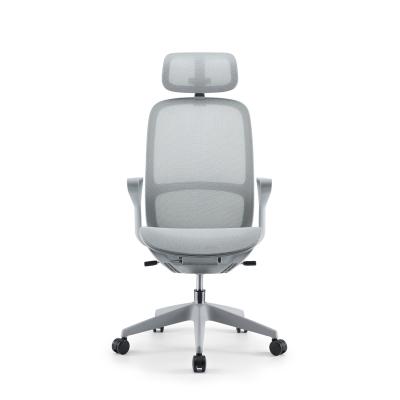 China Ergonomic Office Executive Chair with Breathable Mesh Back Adjustable Lumbar Support and Padded Seat Designed for Long Hours of Work for sale