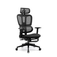 China 24 X 24 X 40 Inches Office Manager Chair Ergonomic With Lumbar Support and True Tilt Function Providing Superior Comfort for sale