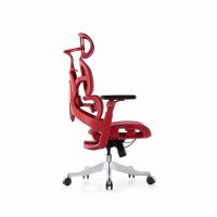 China Tiltfunction True Office Manager Chair Ergonomic With Lumbar Support 360 Degrees Swivel Comfortable Executive Chair for Office for sale