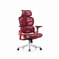 China Ergonomic Mesh Computer Chair Office Executive Chair Featuring Adjustable Lumbar Support Breathable Full Mesh Back& Seat Cushion and Durable Frame for Long Lasting for sale