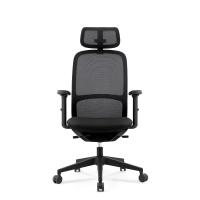 China Ergonomic Office Executive Chair with Adjustable Armrest Breathable Mesh Back Adjustable Lumbar Support and Padded Seat Designed for Long Hours of Work for sale