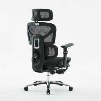 China Assemblyrequired True ergonomic office chair featuring breathable mesh back adjustable lumbar support and stainless steel frame for office for sale