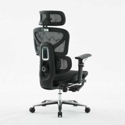 China Assemblyrequired True ergonomic office chair featuring breathable mesh back adjustable lumbar support and stainless steel frame for office for sale