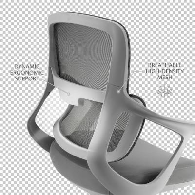 China High-Back Ergonomic Hotel Executive Office Chair Stainless Steel Moisture-Resistant Frame OEM Customized Business Center for sale