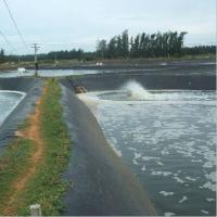 China Smooth Pond Liner HDPE Geomembrane 1mm for Fish Farming in Environmental Applications for sale